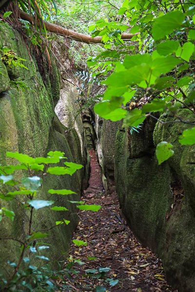 The Beautiful and Bizarre Labyrinth Rocks Park (Golden Bay, New Zealand ...