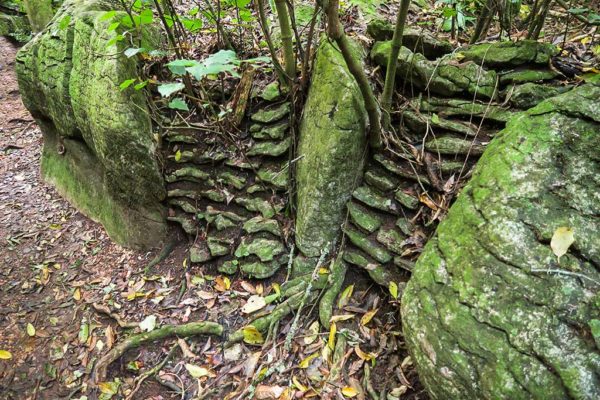 The Beautiful and Bizarre Labyrinth Rocks Park (Golden Bay, New Zealand ...