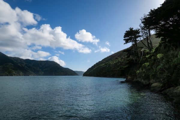 Motuara Island (Queen Charlotte Sound, Marlborough Sounds, New Zealand ...