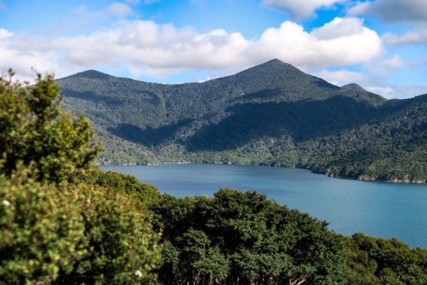 Motuara Island (Queen Charlotte Sound, Marlborough Sounds, New Zealand ...