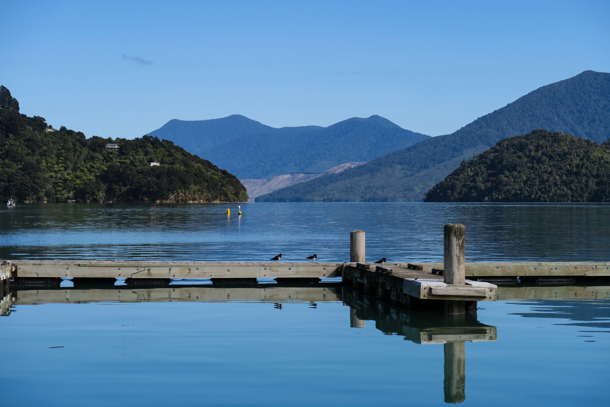 The Portage Resort Hotel (Kenepuru Sound, Marlborough Sounds, New ...