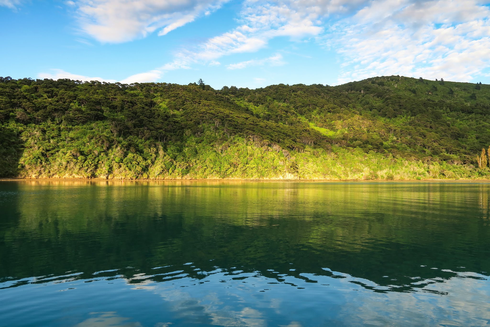 Picton South Island New Zealand Two At Sea Picton South Island New Zealand Two At Sea