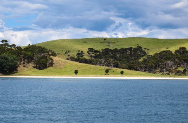 Chamberlain’s Bay on Ponui Island (Hauraki Gulf, New Zealand) – Two At Sea