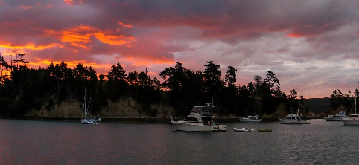 Sunset in Chamberlain’s Bay, Ponui Islalnd (Hauraki Gulf, New Zealand ...